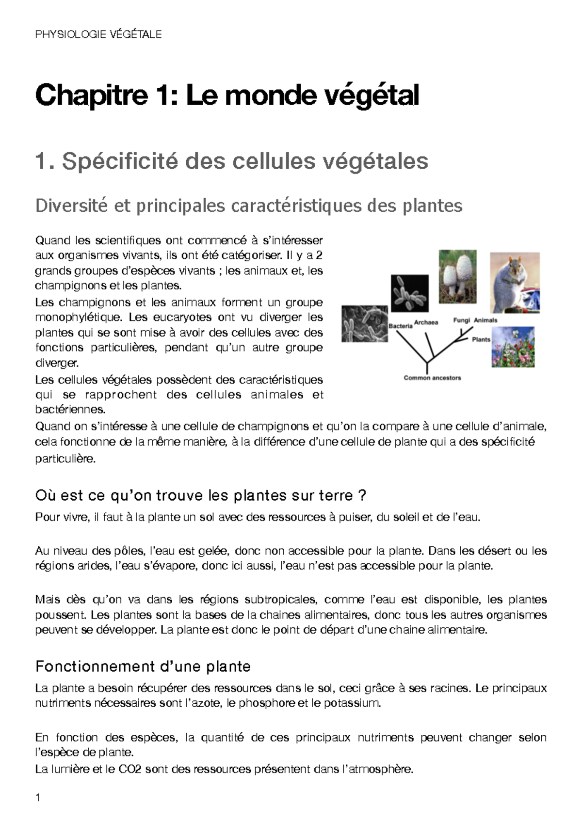 Le monde végétal - Physiologie végétale - UPS - Studocu