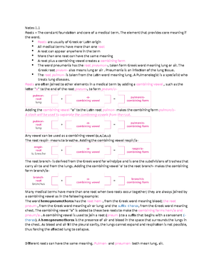 Med Term Ch 6 - Chapter 6!! - MEDICAL TERMINOLOGY - Chapter 6 ...