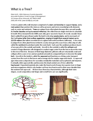 Trees - Summary Introductory Nutrition - EARTH DAY NETWORK ® 71 Protect ...