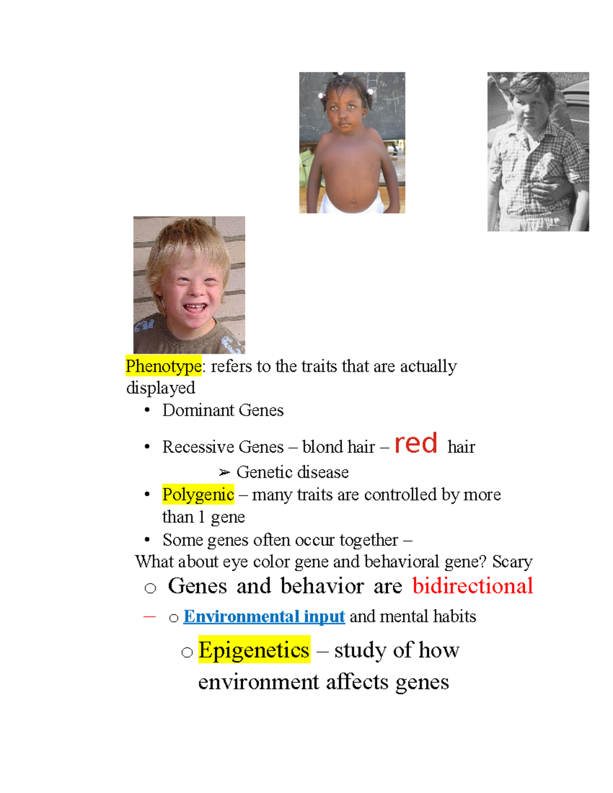 DP12 - notes - Phenotype: refers to the traits that are actually ...