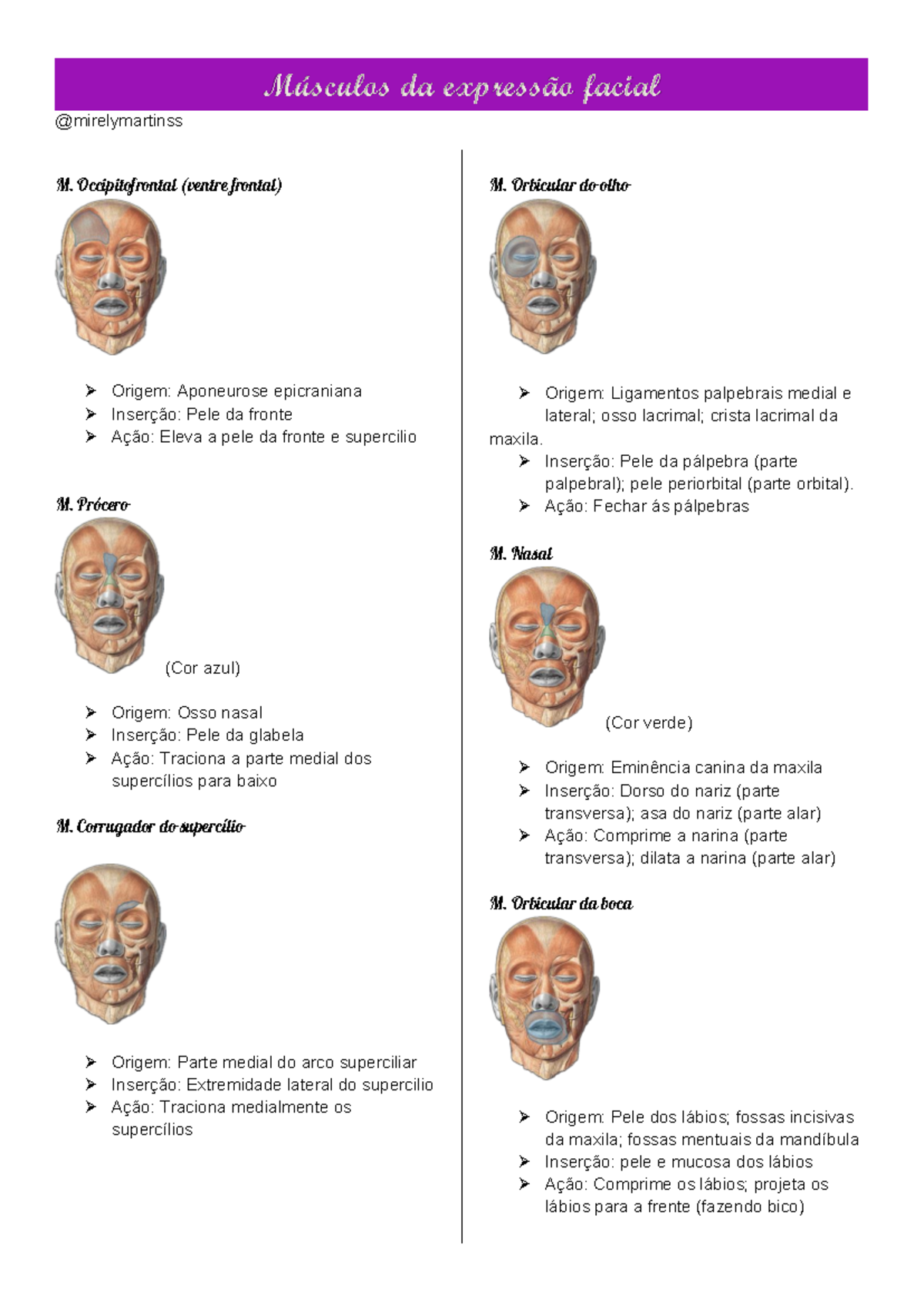 Músculos da face - Resumo Anatomia da face: bases anatomo-funcionais ...