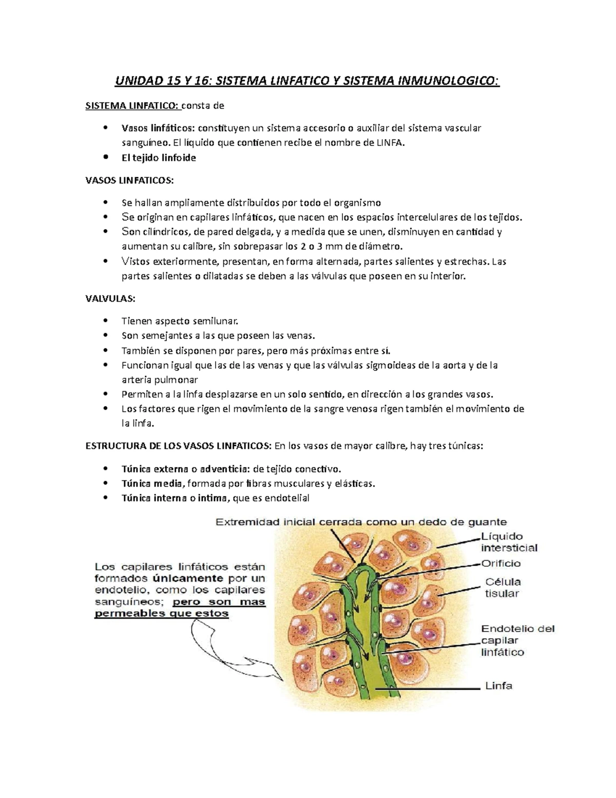 Células inmaduras - INMUNOLOGIA - Studocu