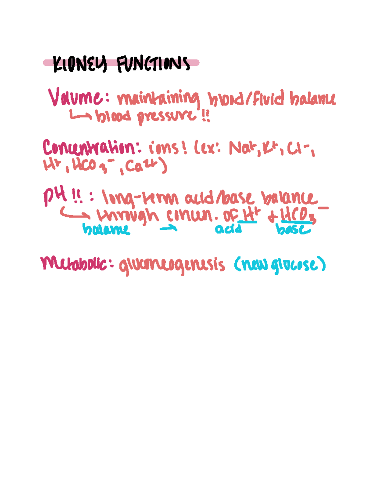 Renal System Notes 1 - KIDNEY FUNCTIONS Volume maintaining blood 1ftvid ...