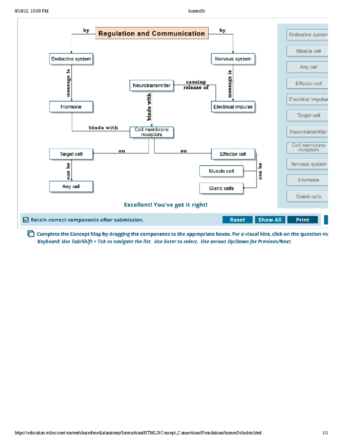 Regulation and communication - Reset Show All Print Complete the ...