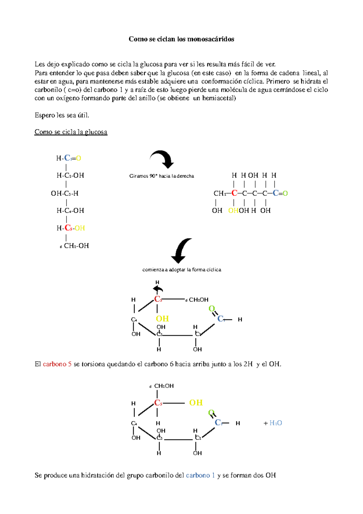 Como se cicla la glucosa para subir al campus - Como se ciclan los ...