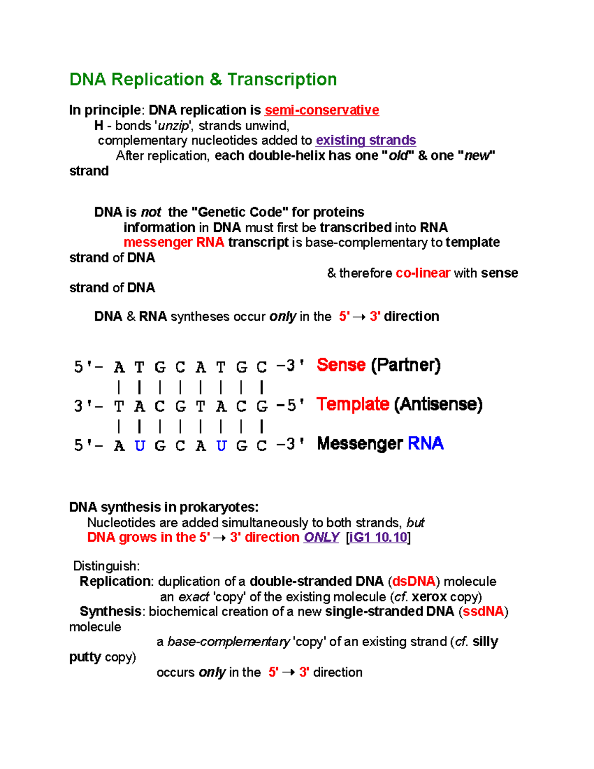 DNA Replication - lecture notes 2 - DNA Replication & Transcription In ...