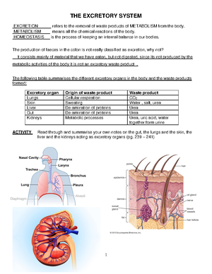 Grade 12 LIFE Sciences Notes - Reproduction AND Endocrine System AND ...