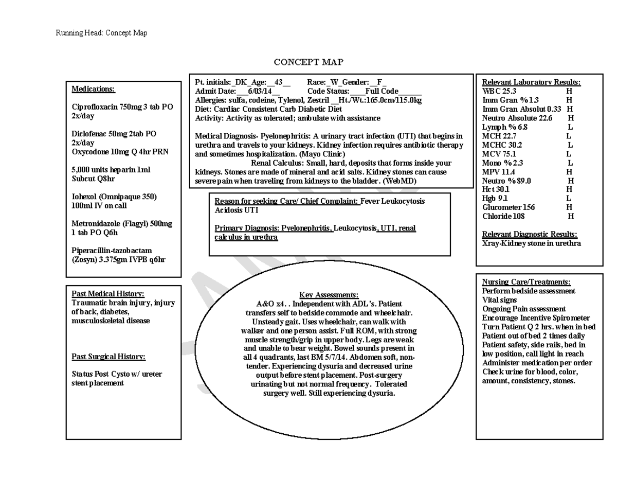 Concept Map -Example - template filled - Running Head: Concept Map ...