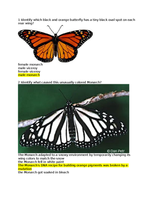 Monarch - quiz - 1 How many total generations during one year are there ...