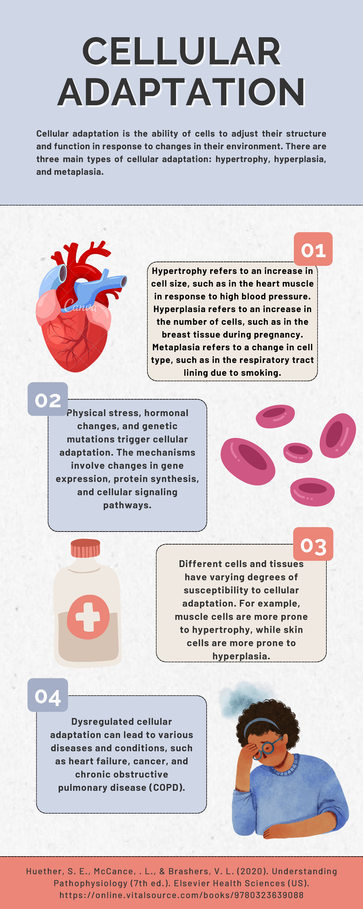 Blue Modern Health Tips Infographic - Hypertrophy refers to an increase ...