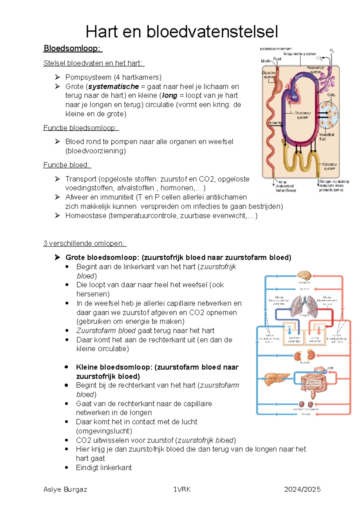 Cardiovisculaire stelsel - Bloedsomloop: Stelsel bloedvaten en het hart ...
