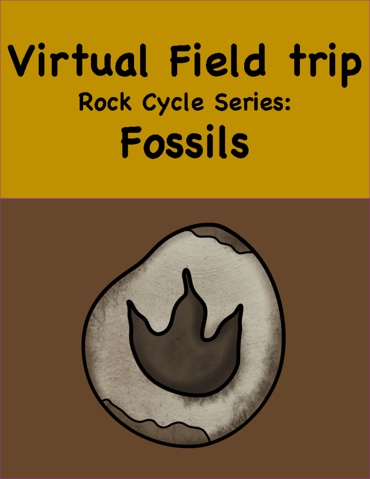 Freefossils Virtual Field Trip-1 - Virtual Field trip Rock Cycle Series ...