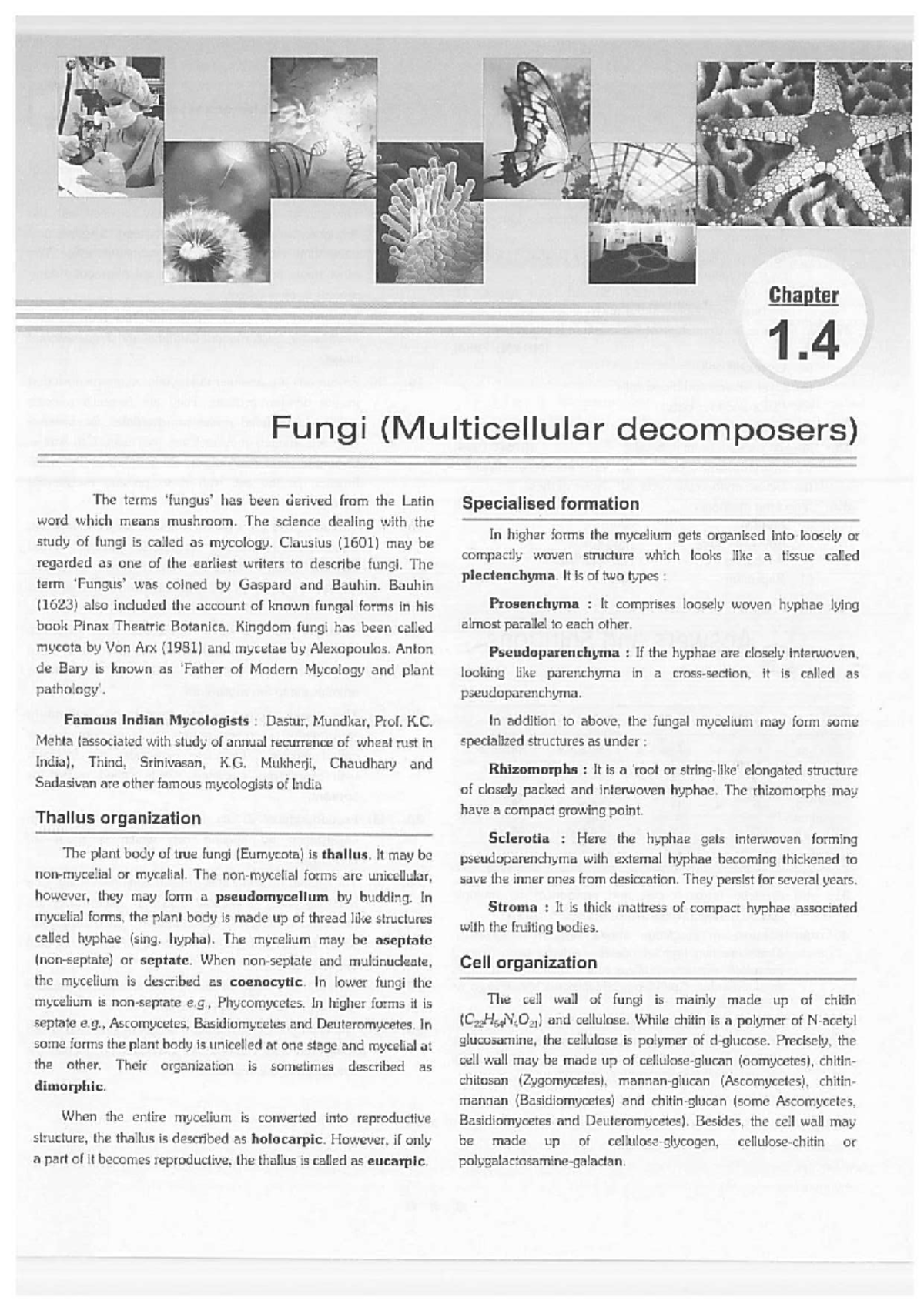 Fungi multicellular decomposer - +2 biology science - Studocu