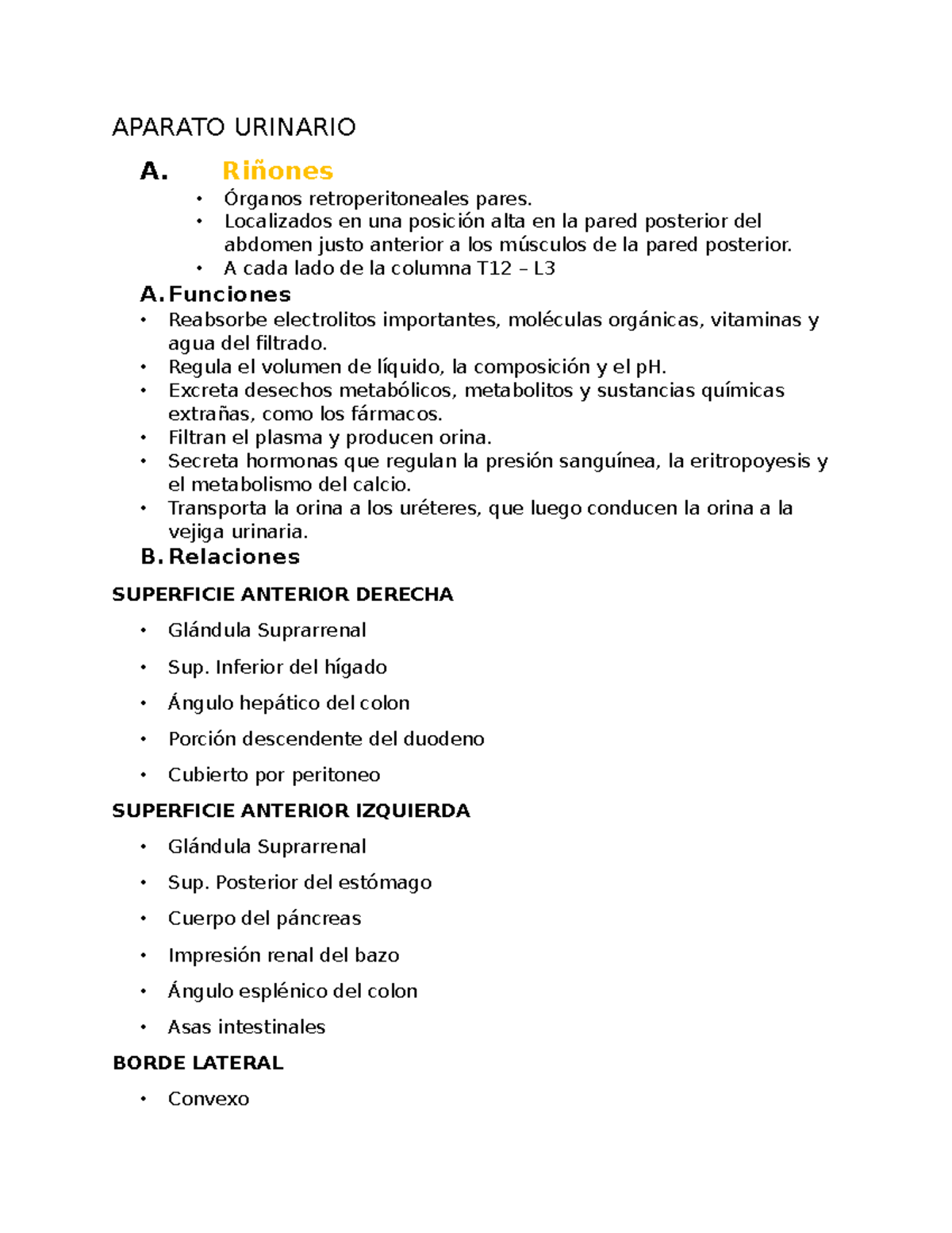 Aparato urinario y reproductor - APARATO URINARIO A. Riñones • Órganos ...