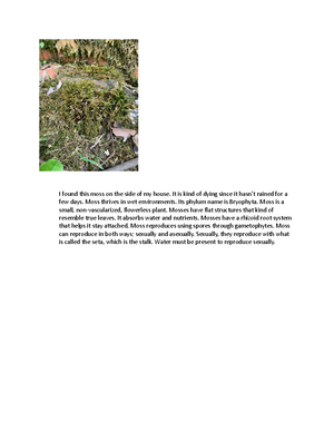 BIO 103 - These are lecture notes from a Biology 103 class. - BIO 103 ...