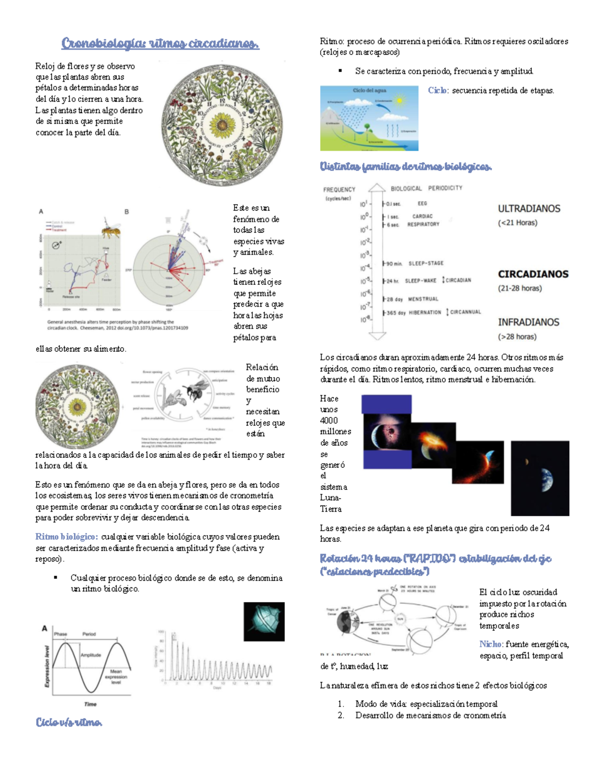 Cronobiología - Apunte cronobiologia - Cronobiología: ritmos circadianos. Reloj de flores y se ...