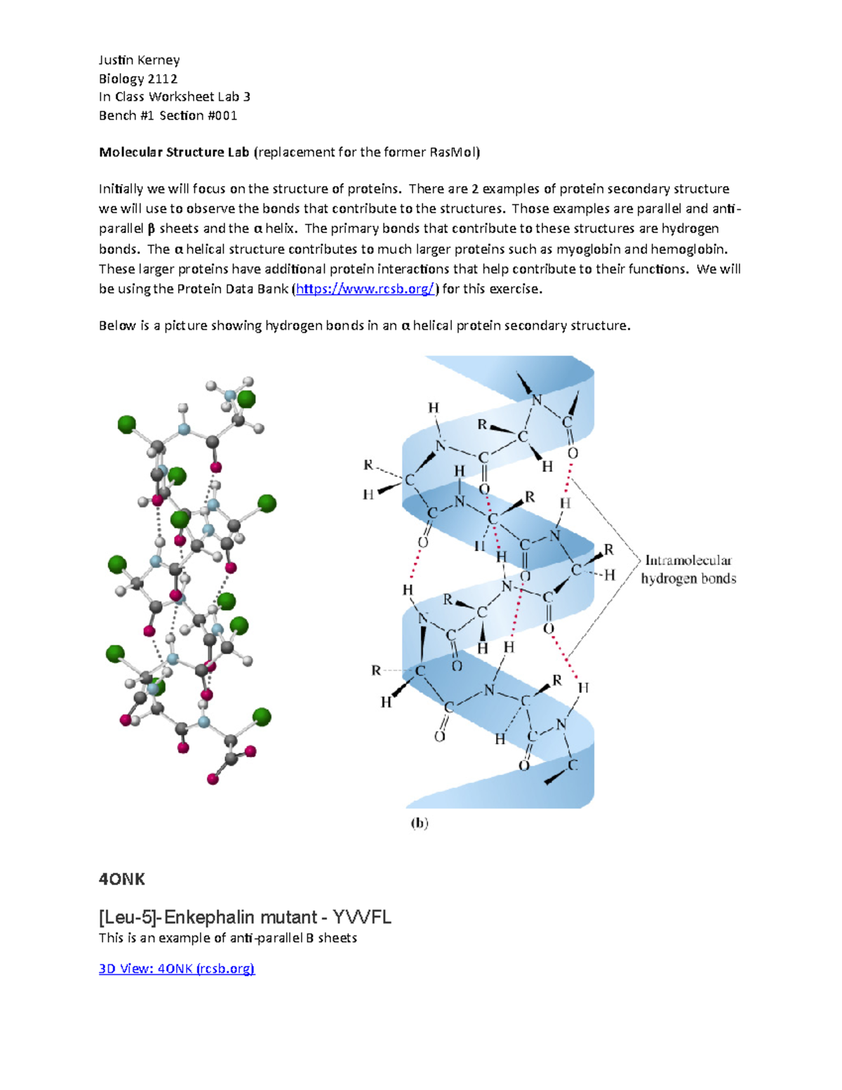 BIOL 2112 - Lab 4 In Lab Wrksht - Biology 2112 In Class Worksheet Lab 3 ...