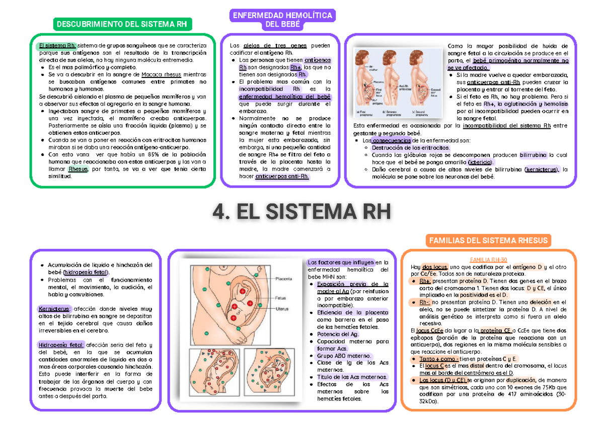 Bio Humana Esquema 3 - DESCUBRIMIENTO DEL SISTEMA RH Es el mas ...