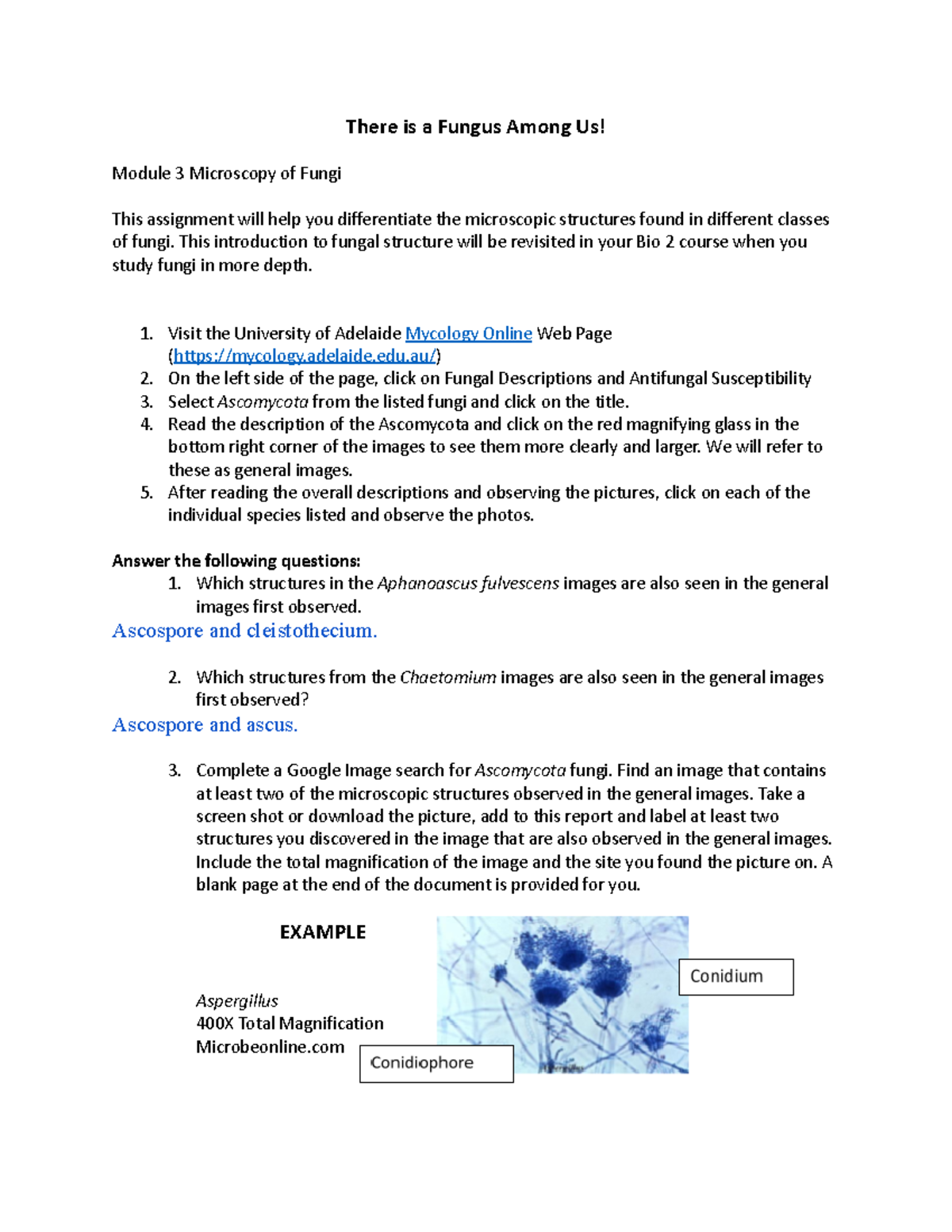 There is a Fungus Among Us - There is a Fungus Among Us! Module 3 ...