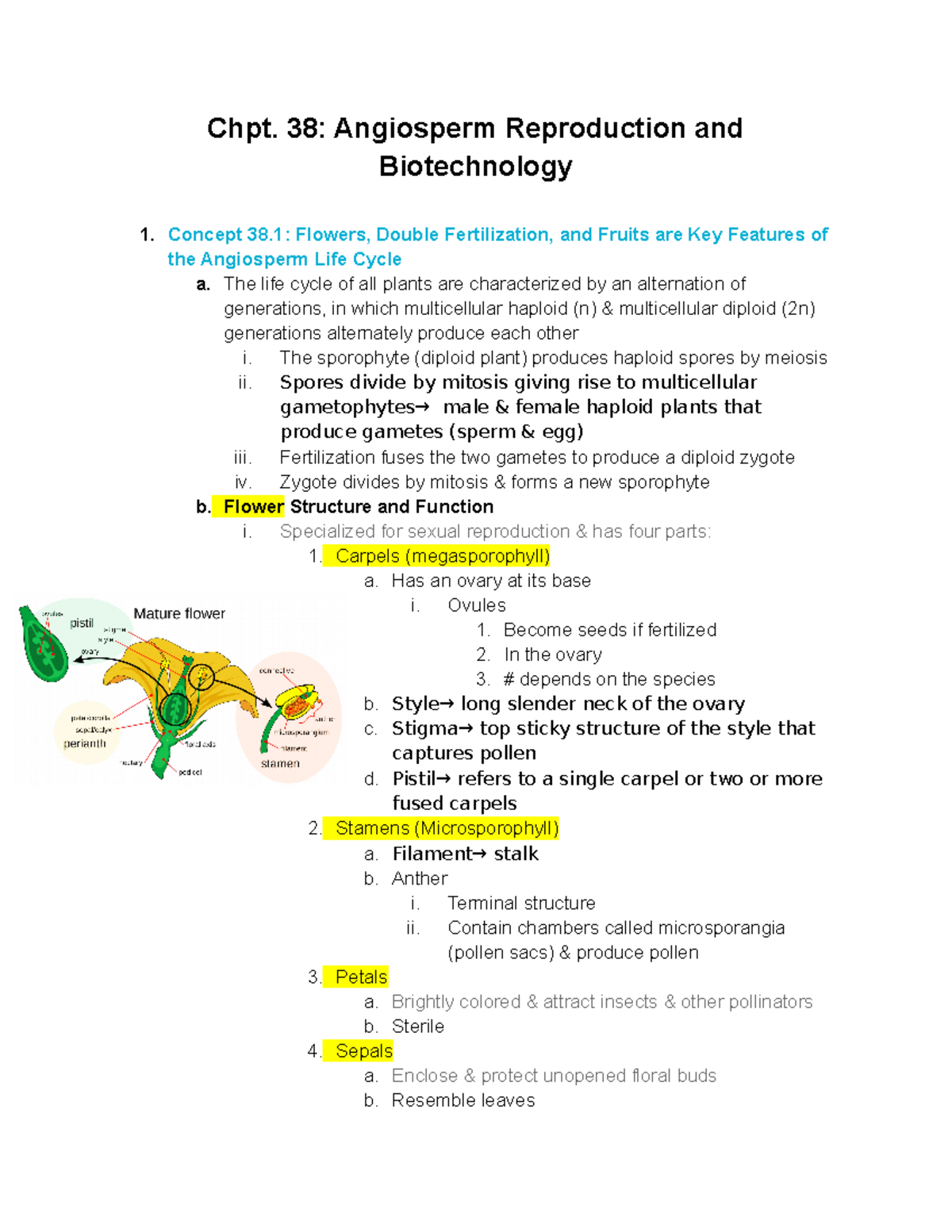 BIO 116 notes-13 - chapter notes - Chpt. 38: Angiosperm Reproduction ...