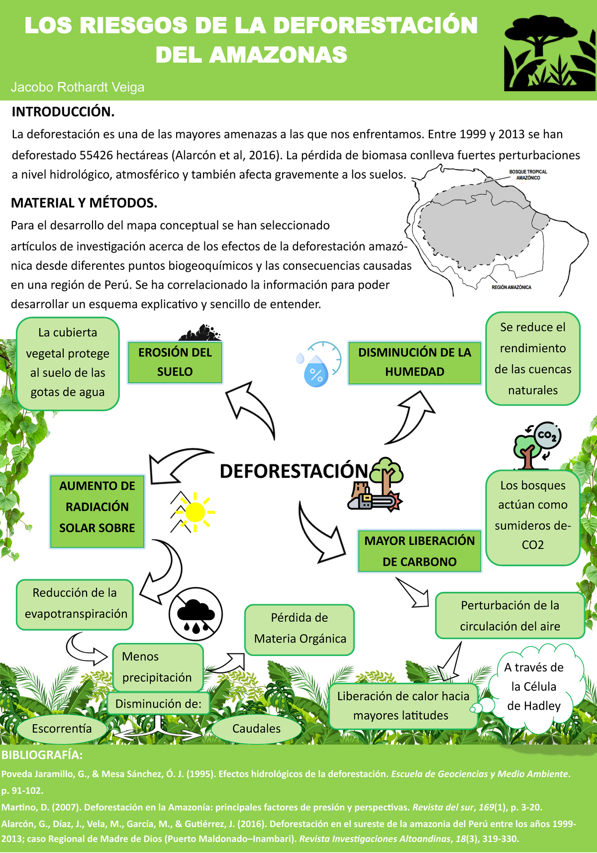 Trabjo Biogeoquimica - LOS RIESGOS DE LA DEFORESTACIÓN DEL AMAZONAS ...