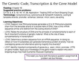 Genetics lec14 9 27 21 - Genetic drift Genetic drift = random ...