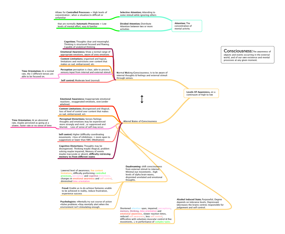 Levels of Consciousness and Cognitive Processes - Studocu
