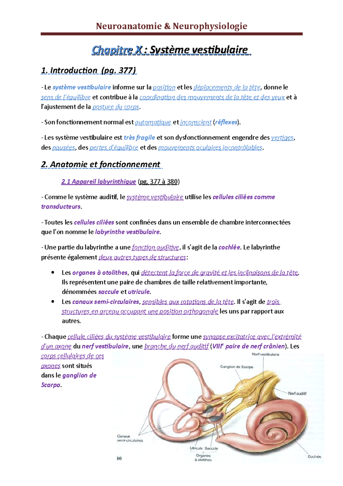 Système Vestibulaire – Examens diagnostiques des troubles vestibulaires ...