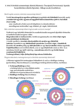 1. tétel - Biogén elemek - 1. tétel Az élő szervezetet felépítő elemek és a víz Biogén elemek ...
