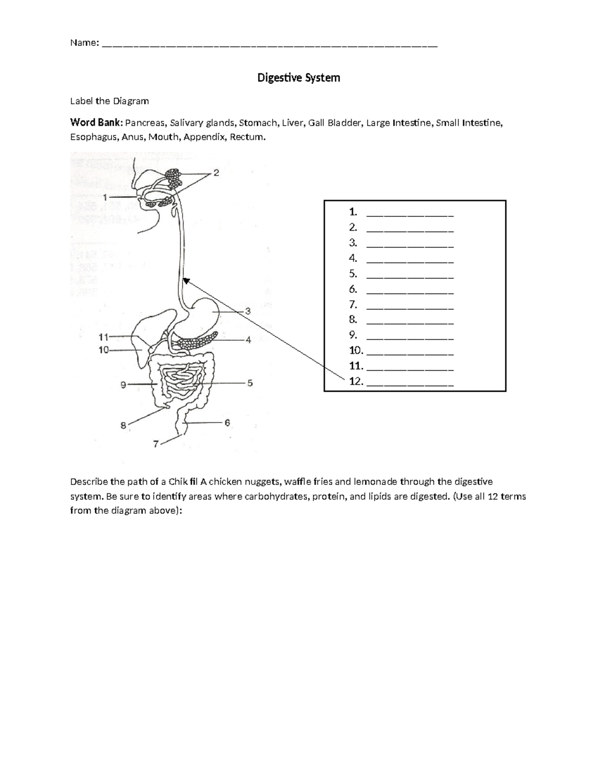 Digestive System Questions & Diagram - Name: - Studocu