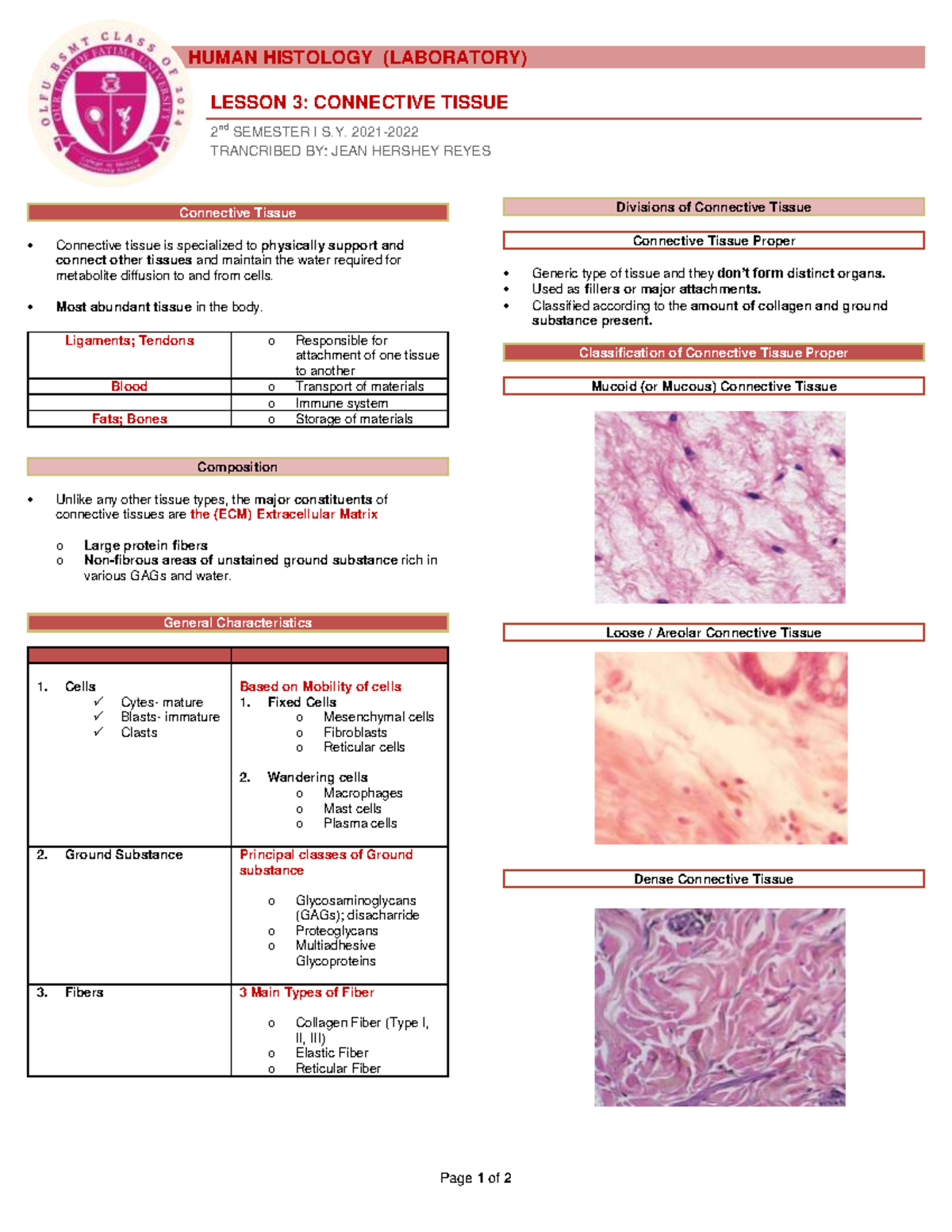 Laboratory 3 Connective Tissue - HUMAN HISTOLOGY (LABORATORY) = 2 nd ...