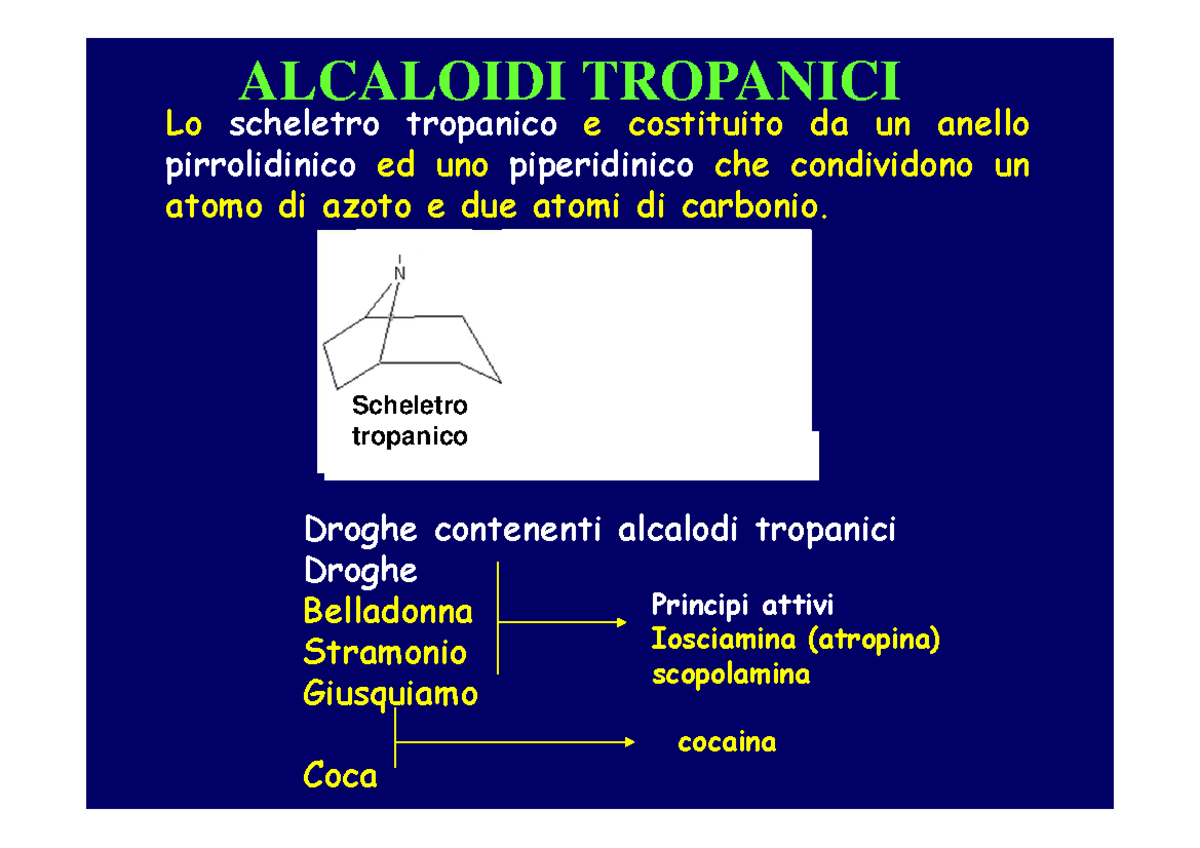 15 Alcaloidi tropanici - ALCALOIDI TROPANICI Lo scheletro tropanico e ...