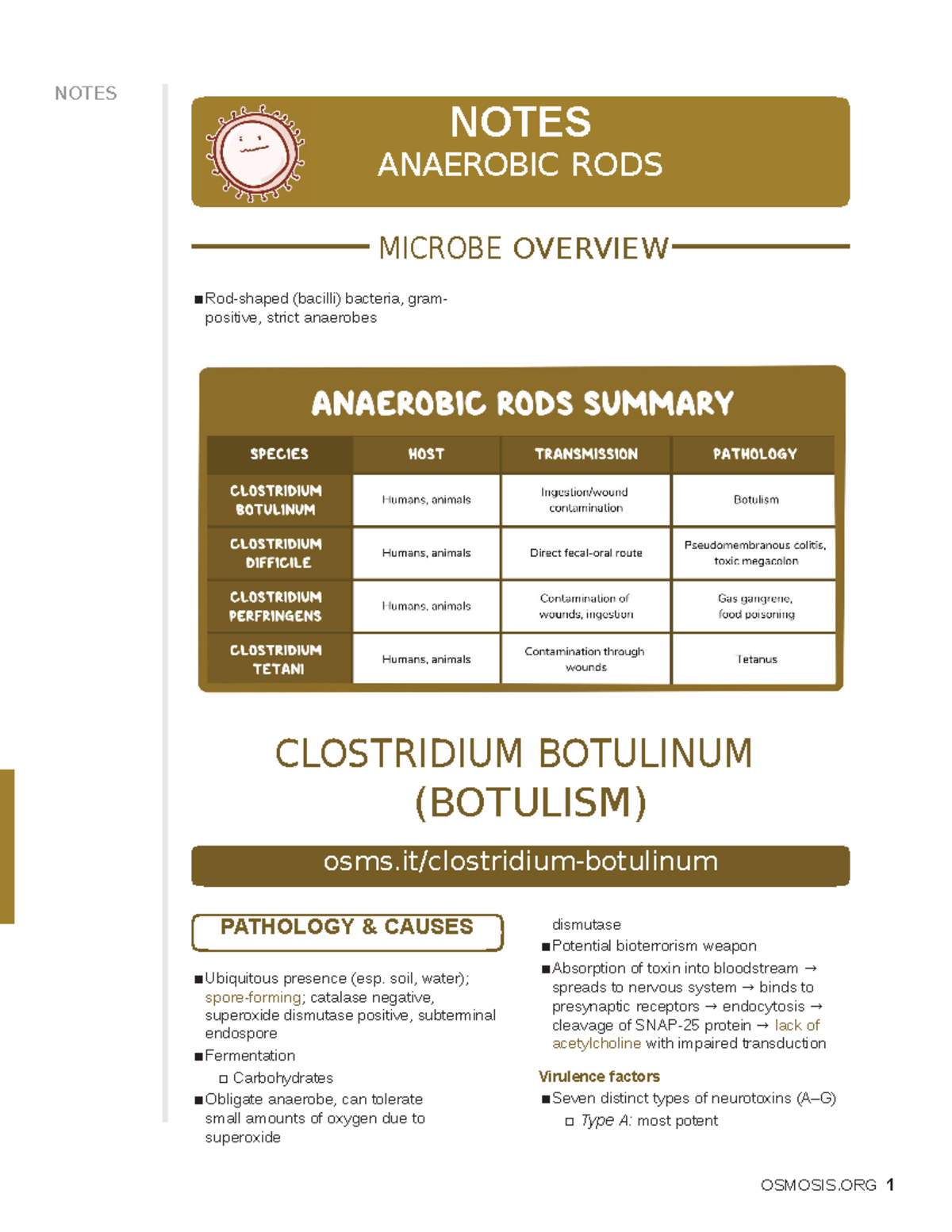 Anaerobic rods - Tugas - ####### OSMOSIS 1 NOTES ANAEROBIC RODS osms ...