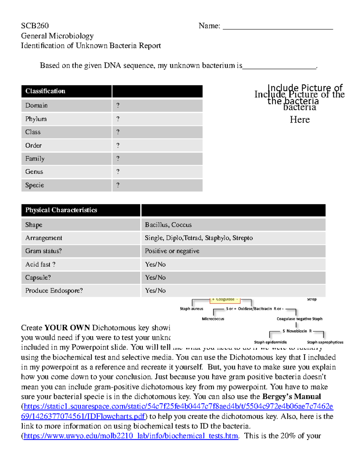 Identification of Unknown Bacteria in Microbiology Report - Studocu