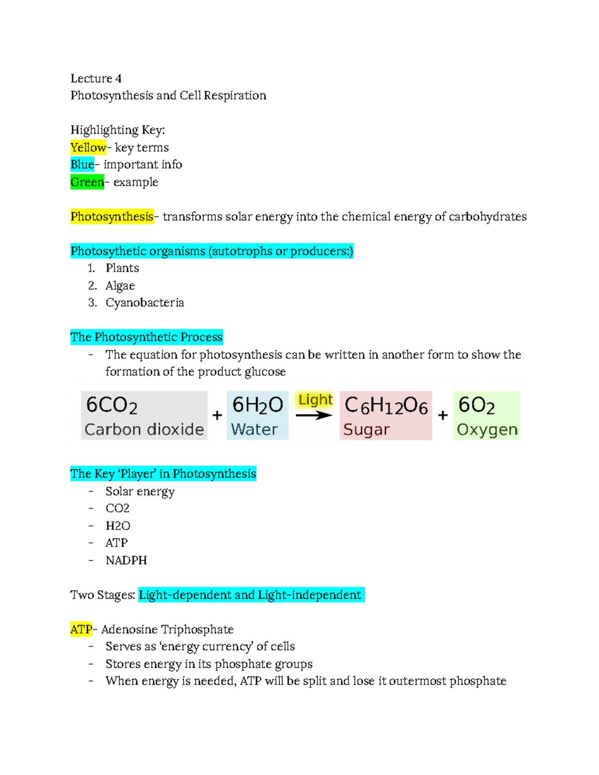 Lecture 4 Photosynthesis and Cell Respiration - Lecture 4 ...