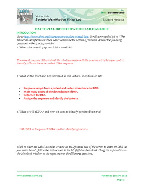 Natural Selection Simulation (PHET)-2 - Name: Kailey Hernandez Natural ...