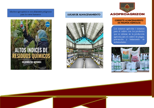 Unidad Educativa ALI - UNIDAD EDUCATIVA “GUAYAQUIL” Nombre: Ingeborth ...