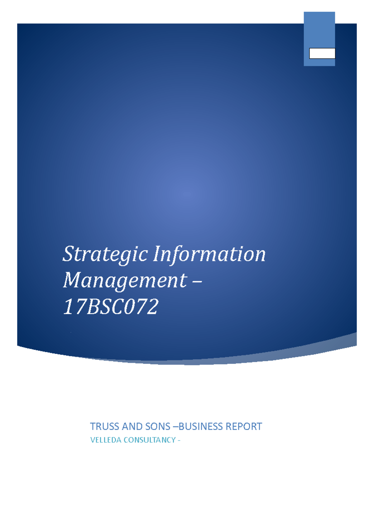 Strategic Information Management Assignment - Strategic Information ...