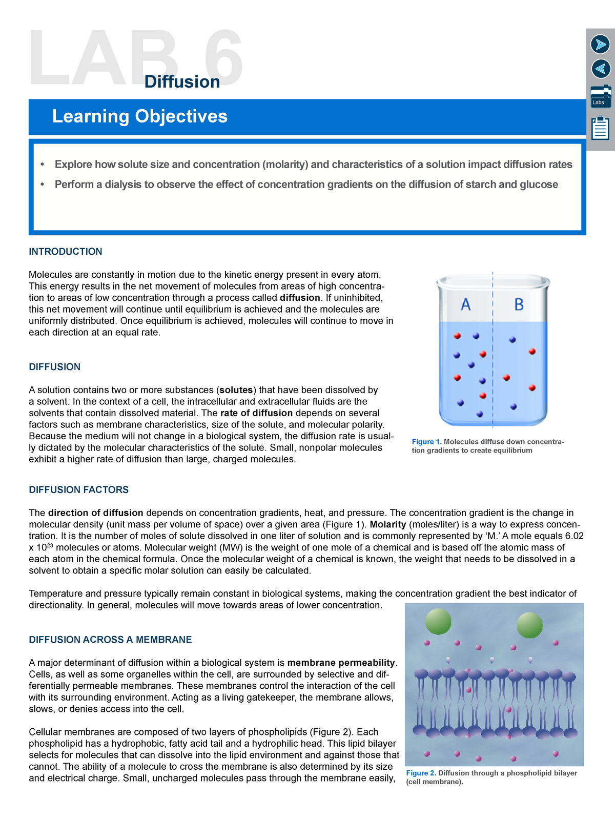 Diffusion Introduction - LAB 6Diffusion ####### INTRODUCTION ...