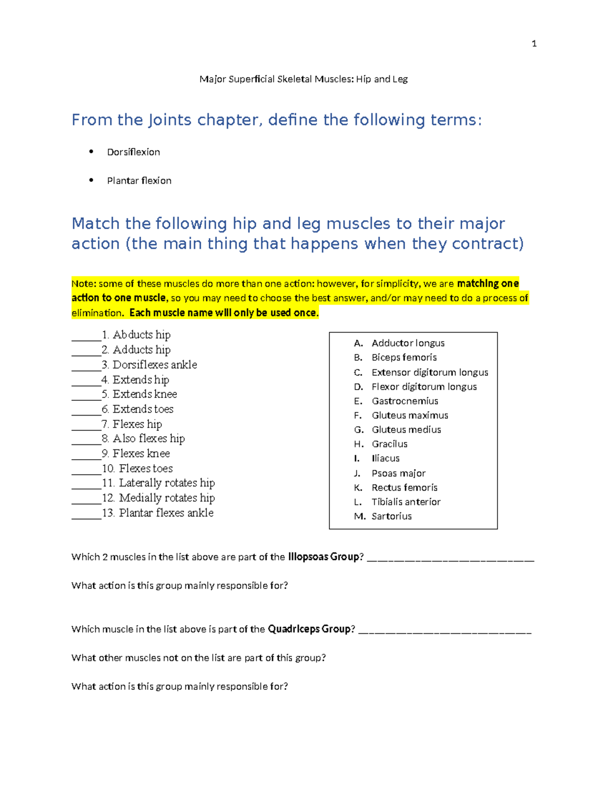 Major Hip and Leg Muscles - Major Superficial Skeletal Muscles: Hip and ...