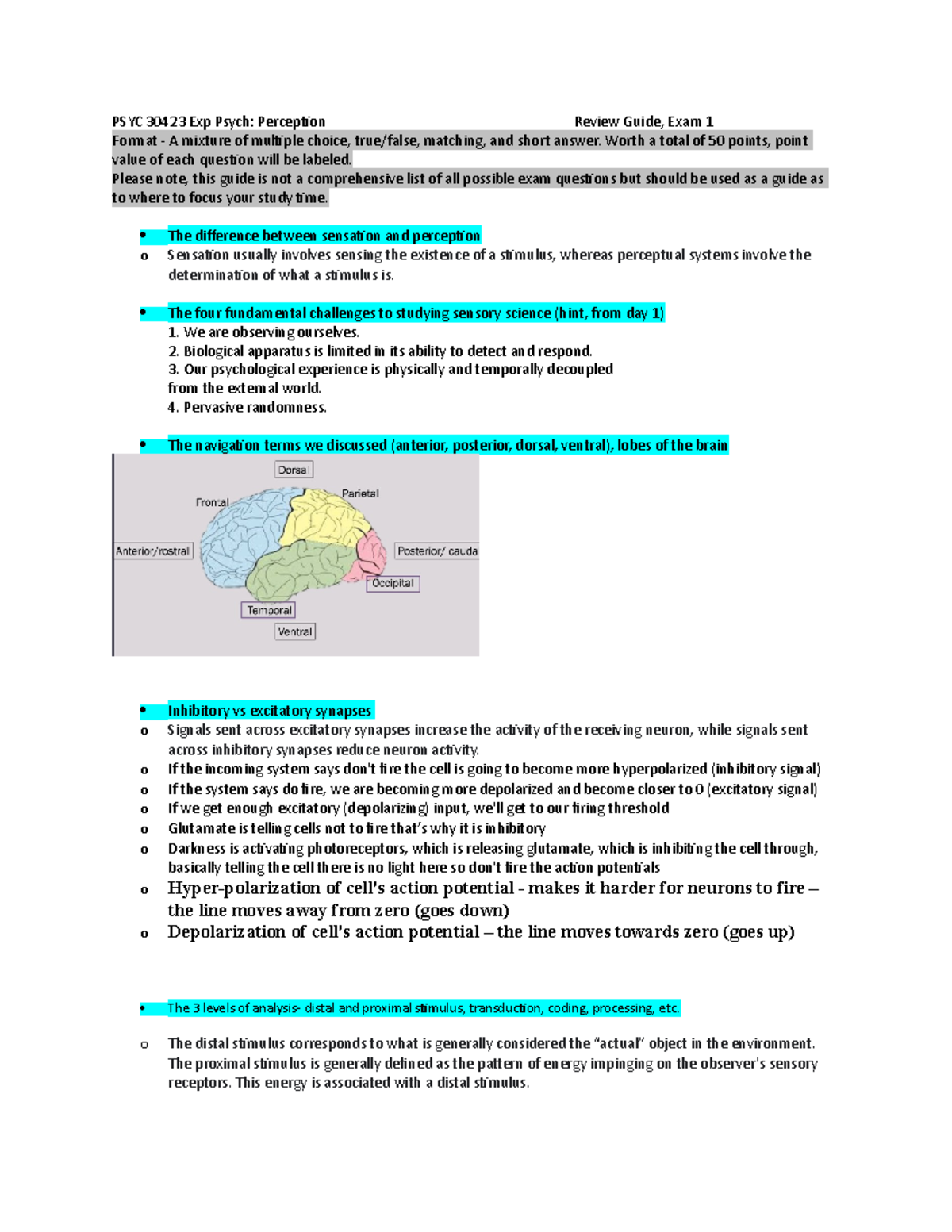 Perception Exam1 Study Guide - PSYC 30423 Exp Psych: Perception Review ...