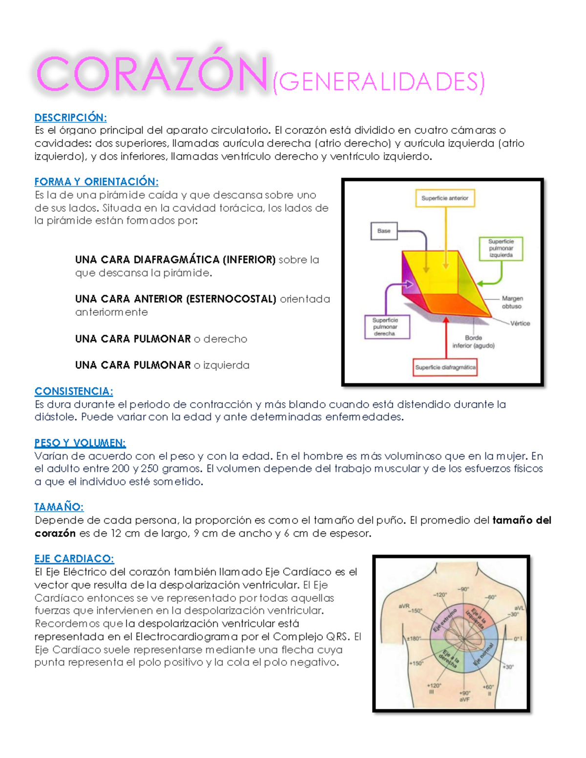 Corazón ( Generalidades) - CORAZÓN(GENERALIDADES) DESCRIPCIÓN: Es el ...