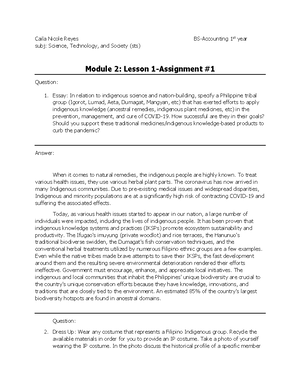 Module 2 Lesson 2-Seatwork-4 - Caila Nicole Reyes BS-Accounting 1st ...