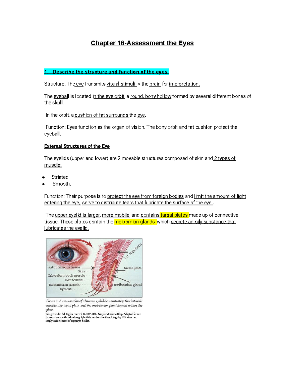 Nurs 3614-Chapter 16-Eyes - Chapter 16-Assessment the Eyes 1. Describe ...