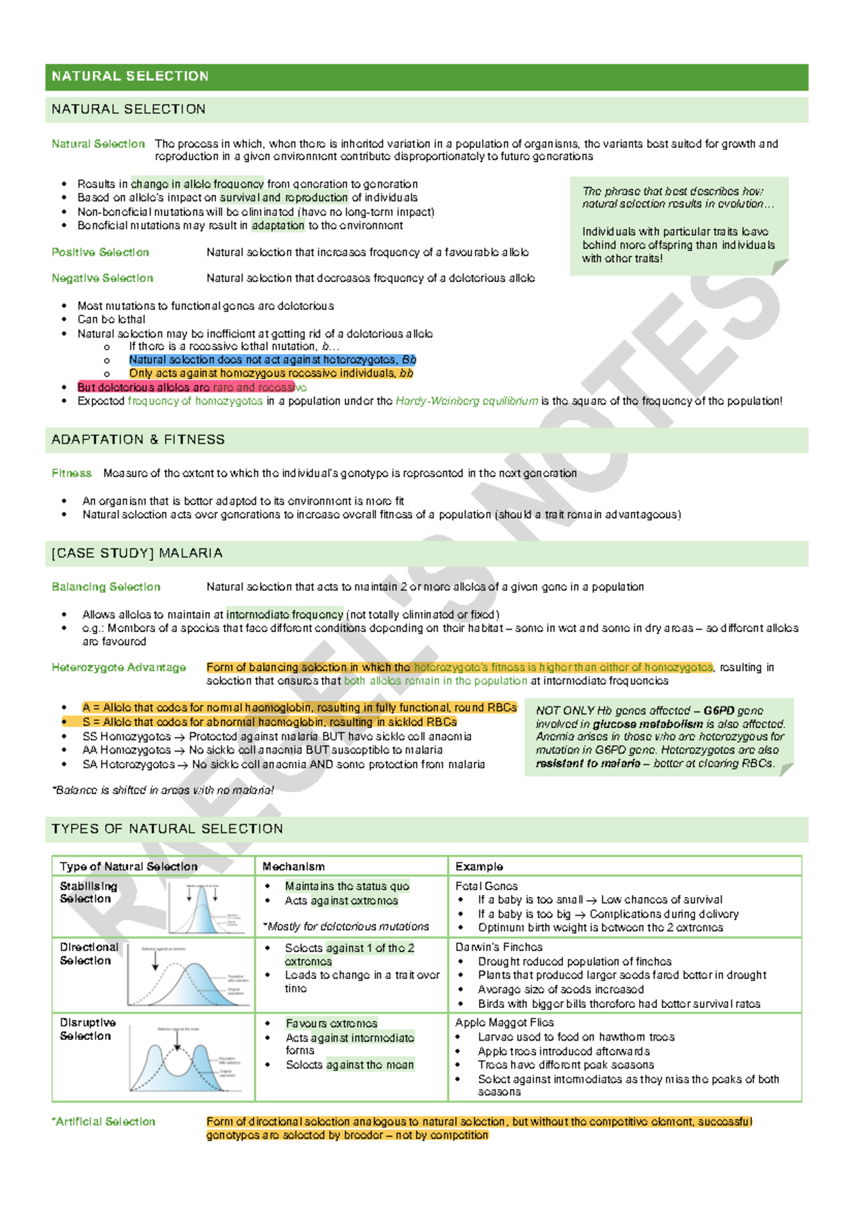 BIO1022 Notes for revision - NATURAL SELECTION NATURAL SELECTION ...