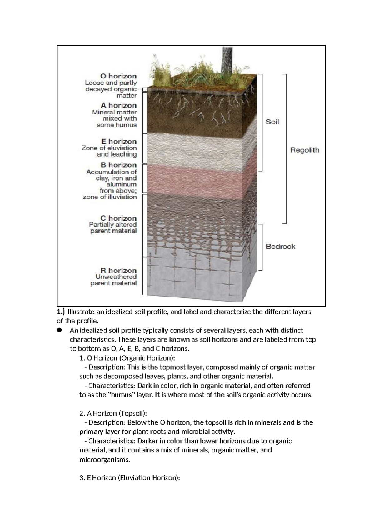 Lecture 13 - Soil is composed of different layers, also known as ...