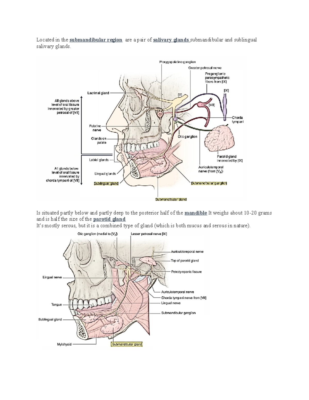 Submandibular salivary glands - Located in the submandibular region are ...