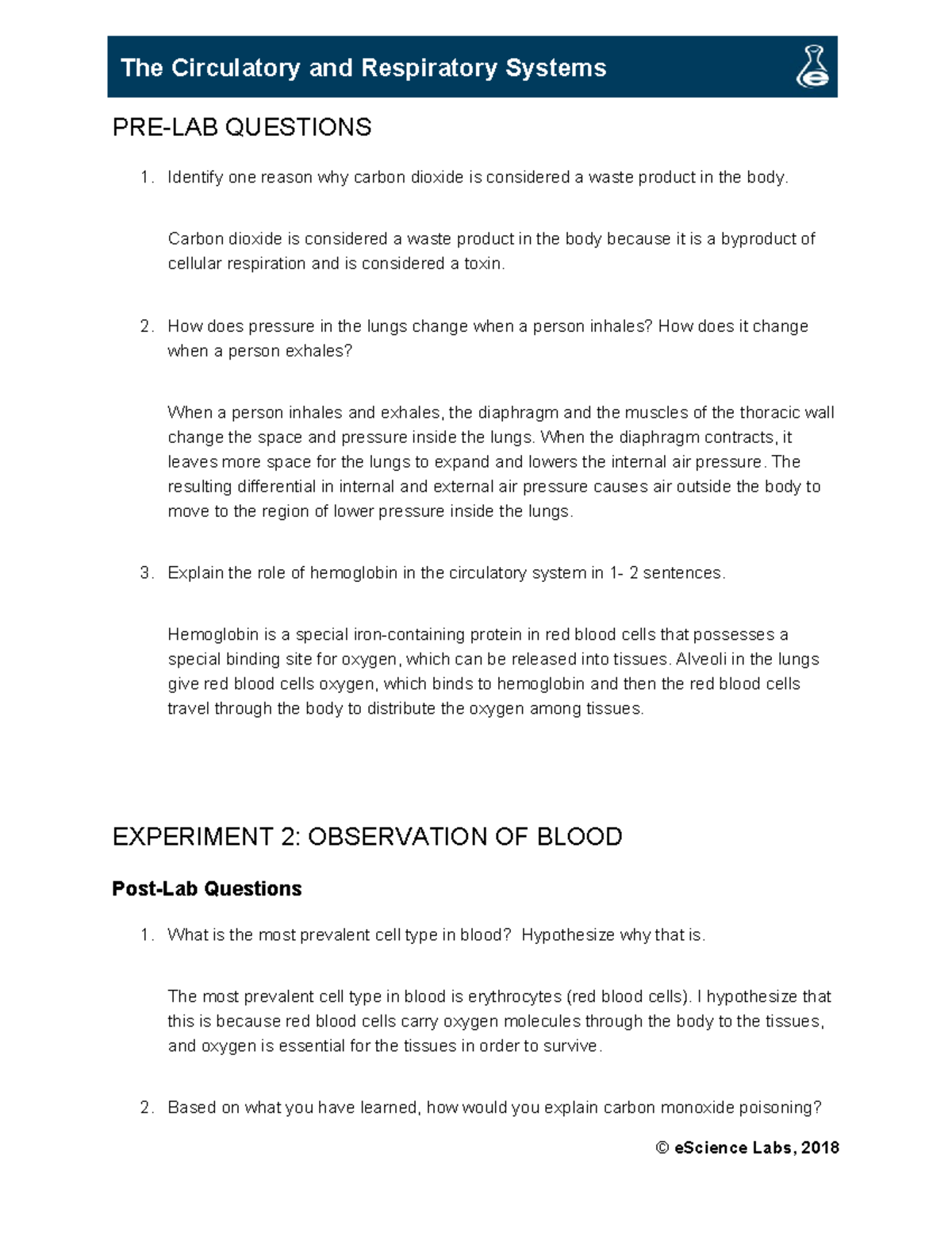 Circulatory and Respiratory Systems - The Circulatory and Respiratory ...