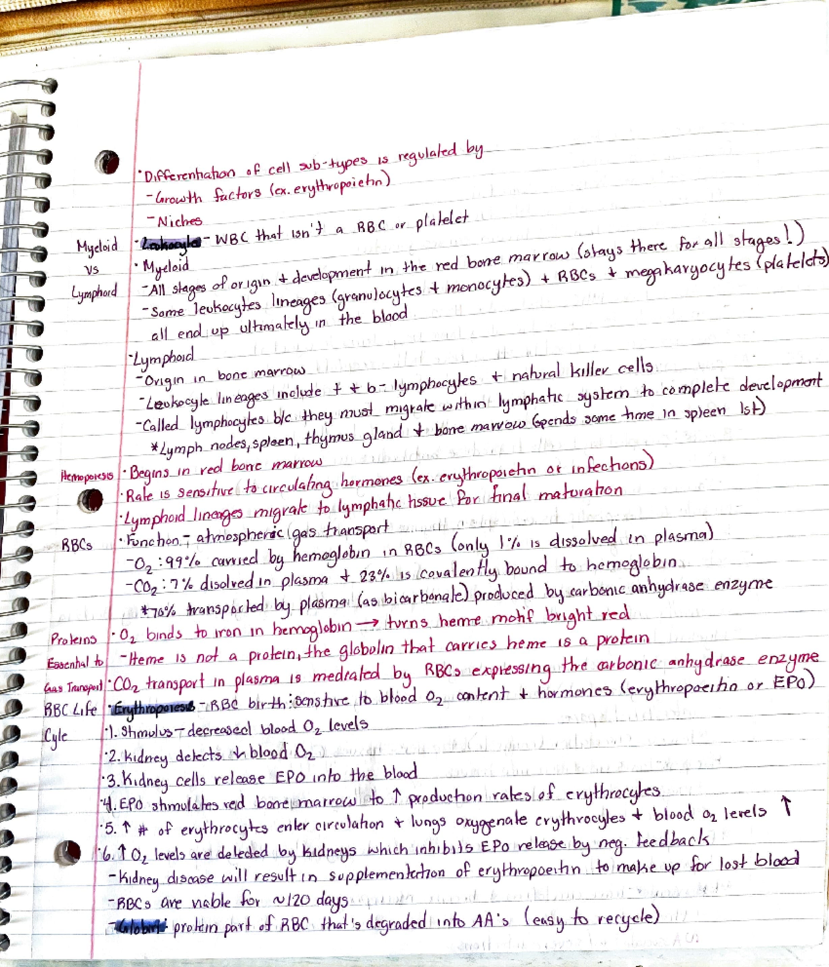 Ap 3 - James haugen - BIO 246 - Studocu