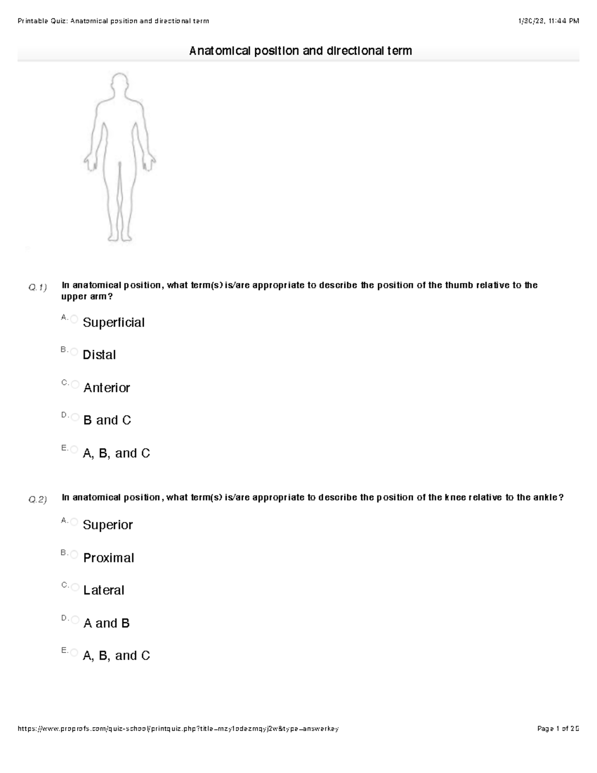 Anatomical position and directional term - Q) In anatomical position ...